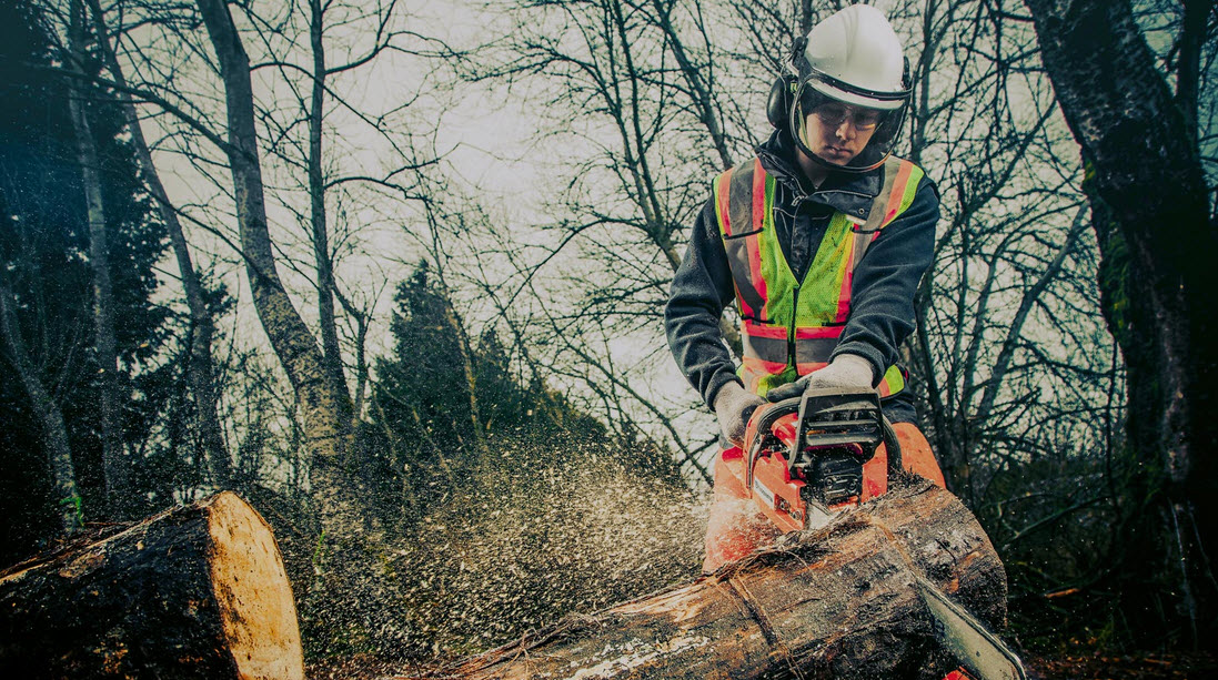 How to Handle The Project of Tree Removal With Safety?
