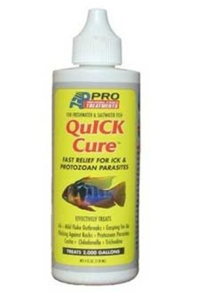 My Quarantine Process for New Aquarium Fish