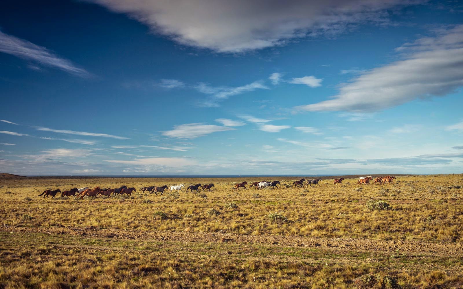 Rolling Plains Journal: February 2015