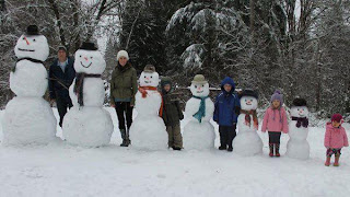 PARADOKSIJA: Zima, zima,pa... evo rešenja!