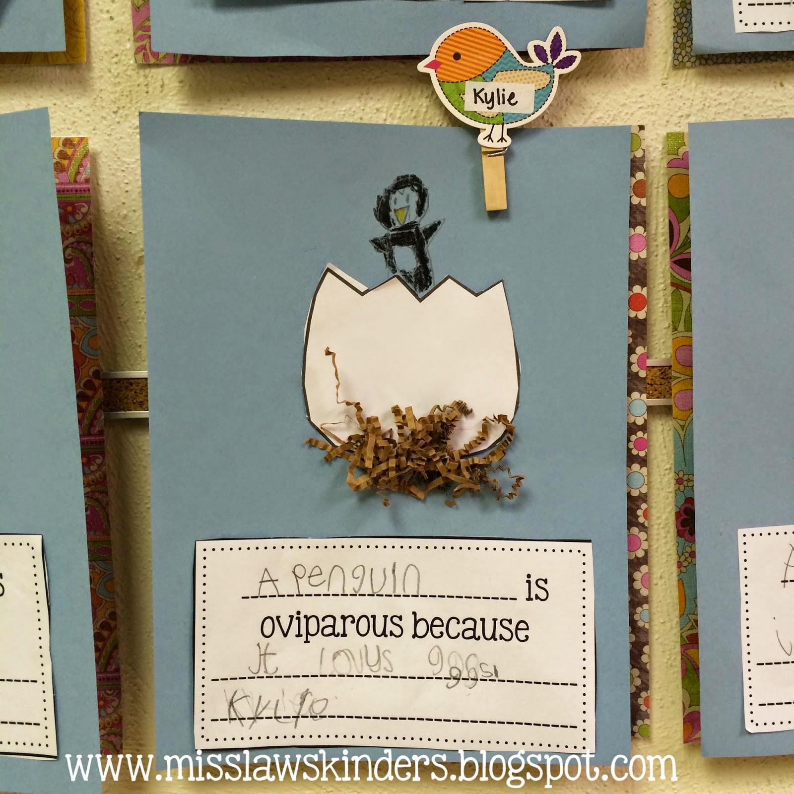 Miss Law's Kinders: Oviparous Animal Life Cycles-{Day 2: All About ...