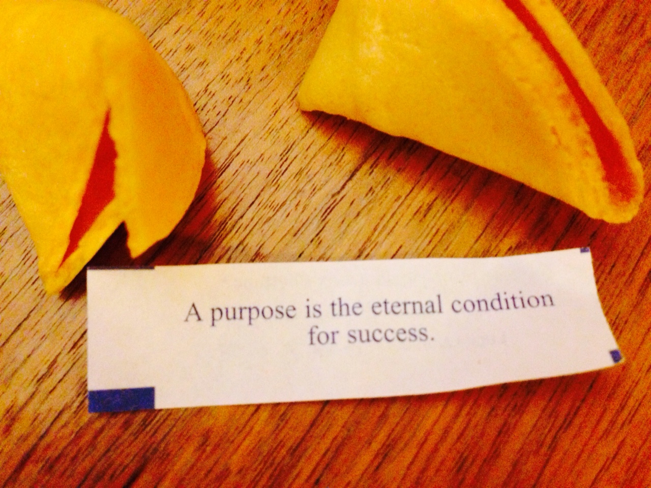 A Layman's Blog: Ah, Grasshopper..........................