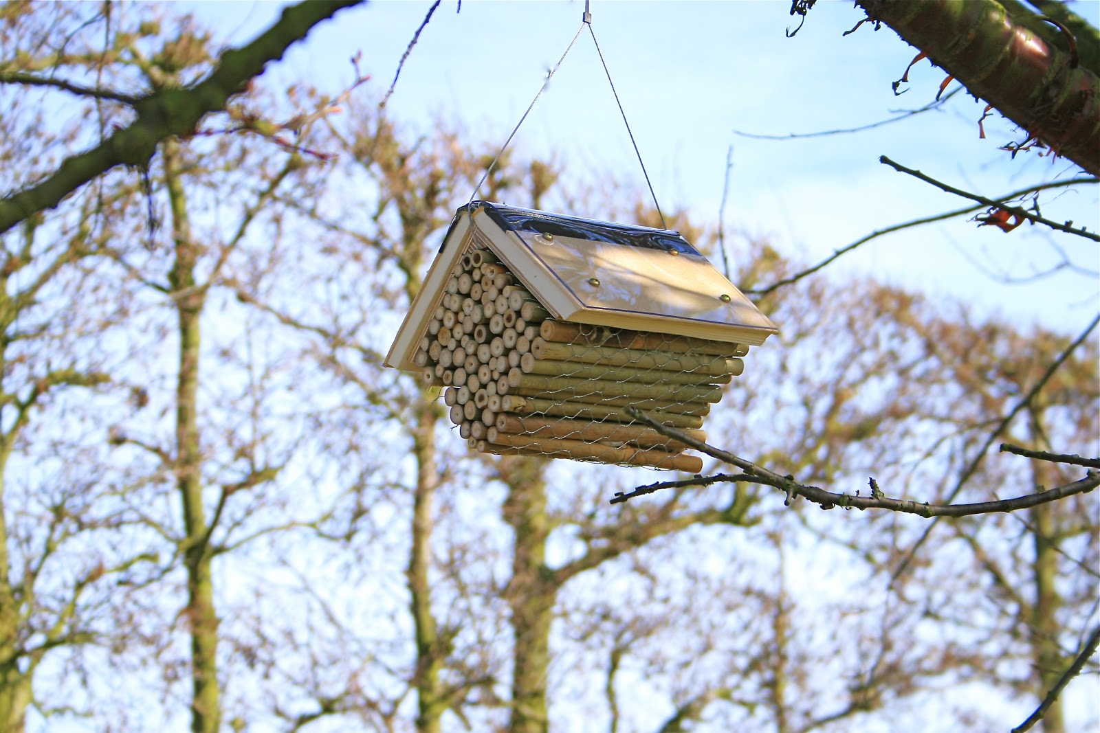 The Bee Bole: The bee library: Brogdale