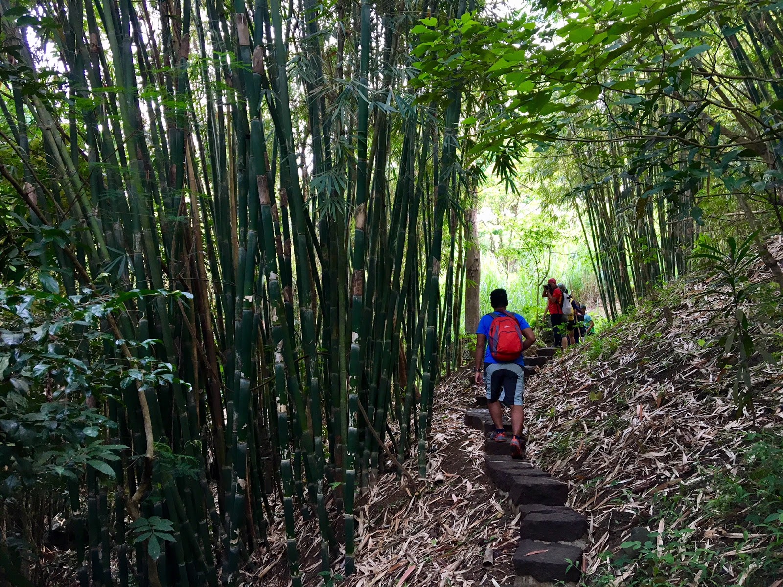 Hiking at Masungi Georeserve's Legacy Trail