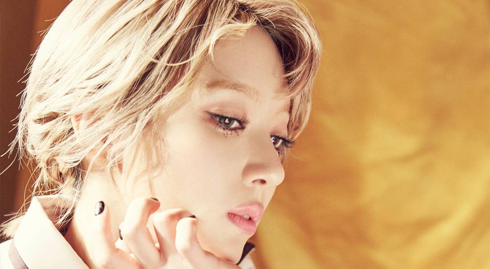 FNC Entertainment niega rotundamente el noviazgo entre Choa de AOA y ...