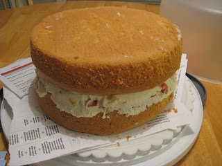 Gim's Delish Delights: Chinese Style Sponge Cake with Fruits