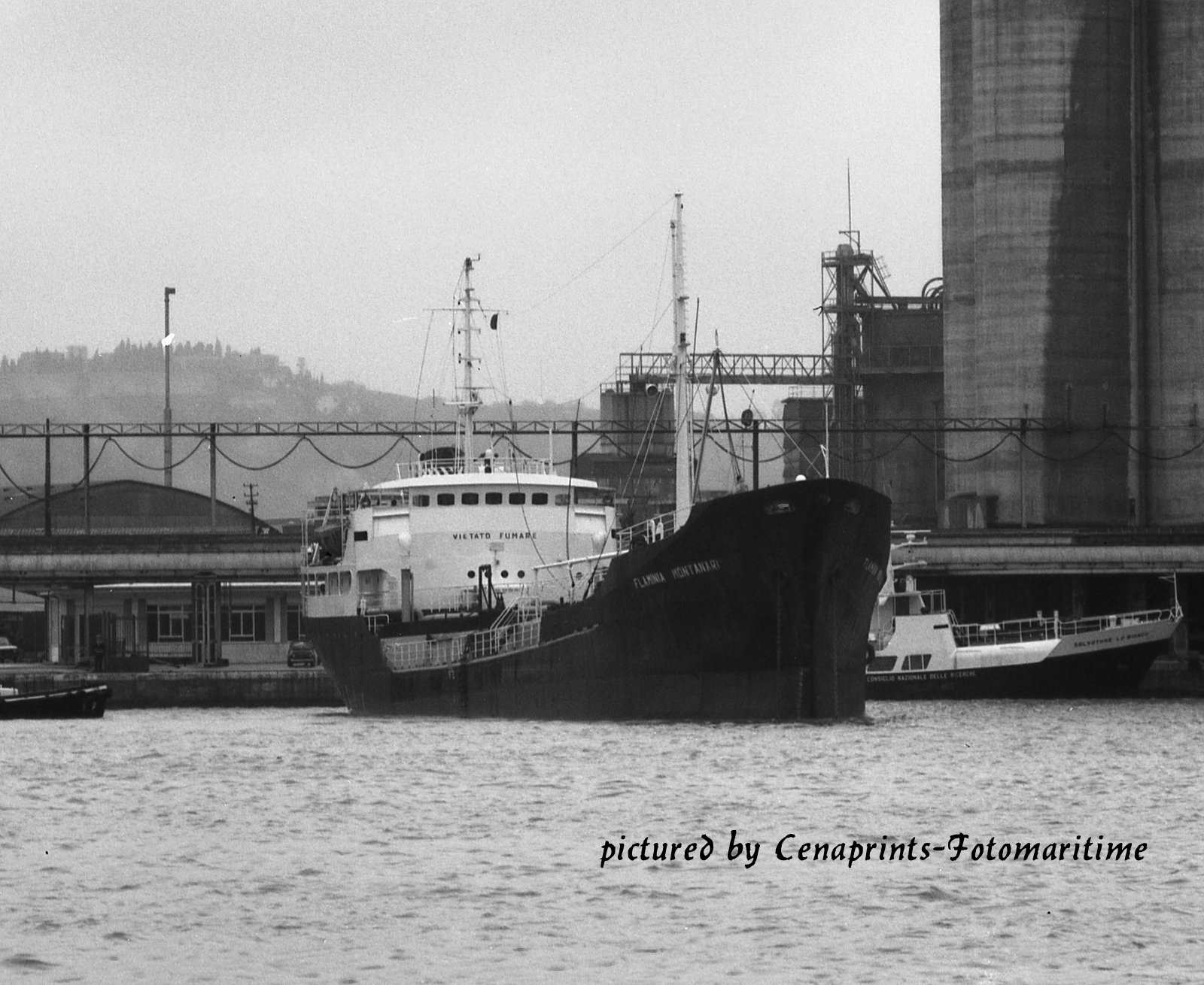 cenaships and so: m.v. FLAMINIA MONTANARI