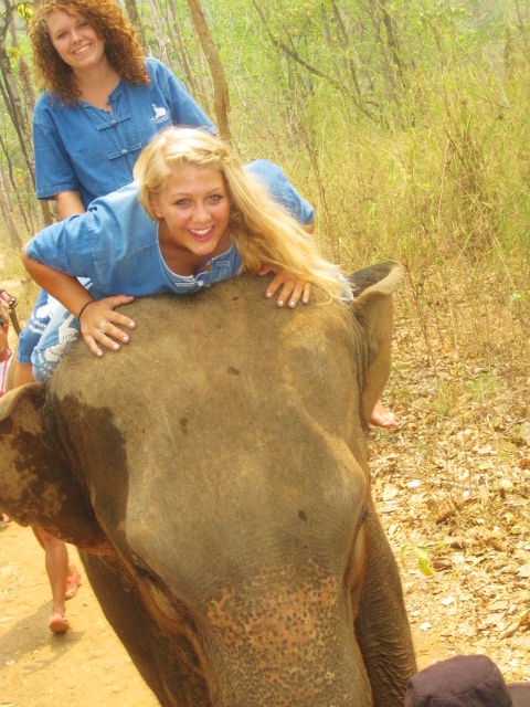 Wander: Bungee Jumping and a day with the Elephants!