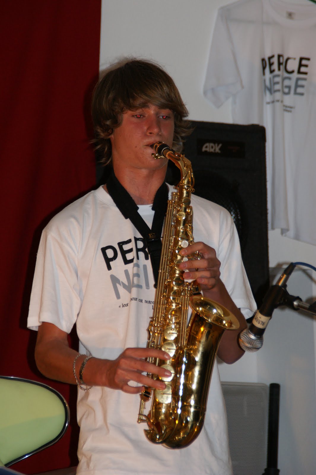 Robert Perrin "Opération Perce Neige"