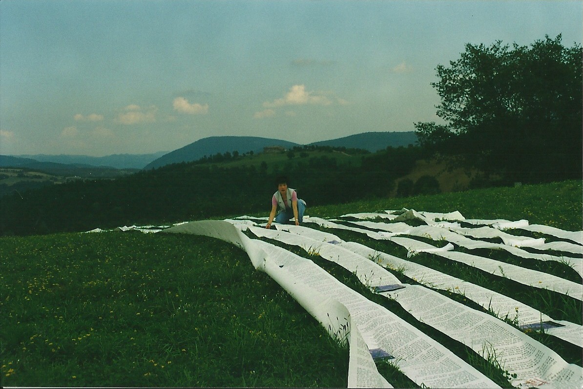 I lavori artistici di Hey Sug Jang: Commento dell'autrice su "Ali dell ...