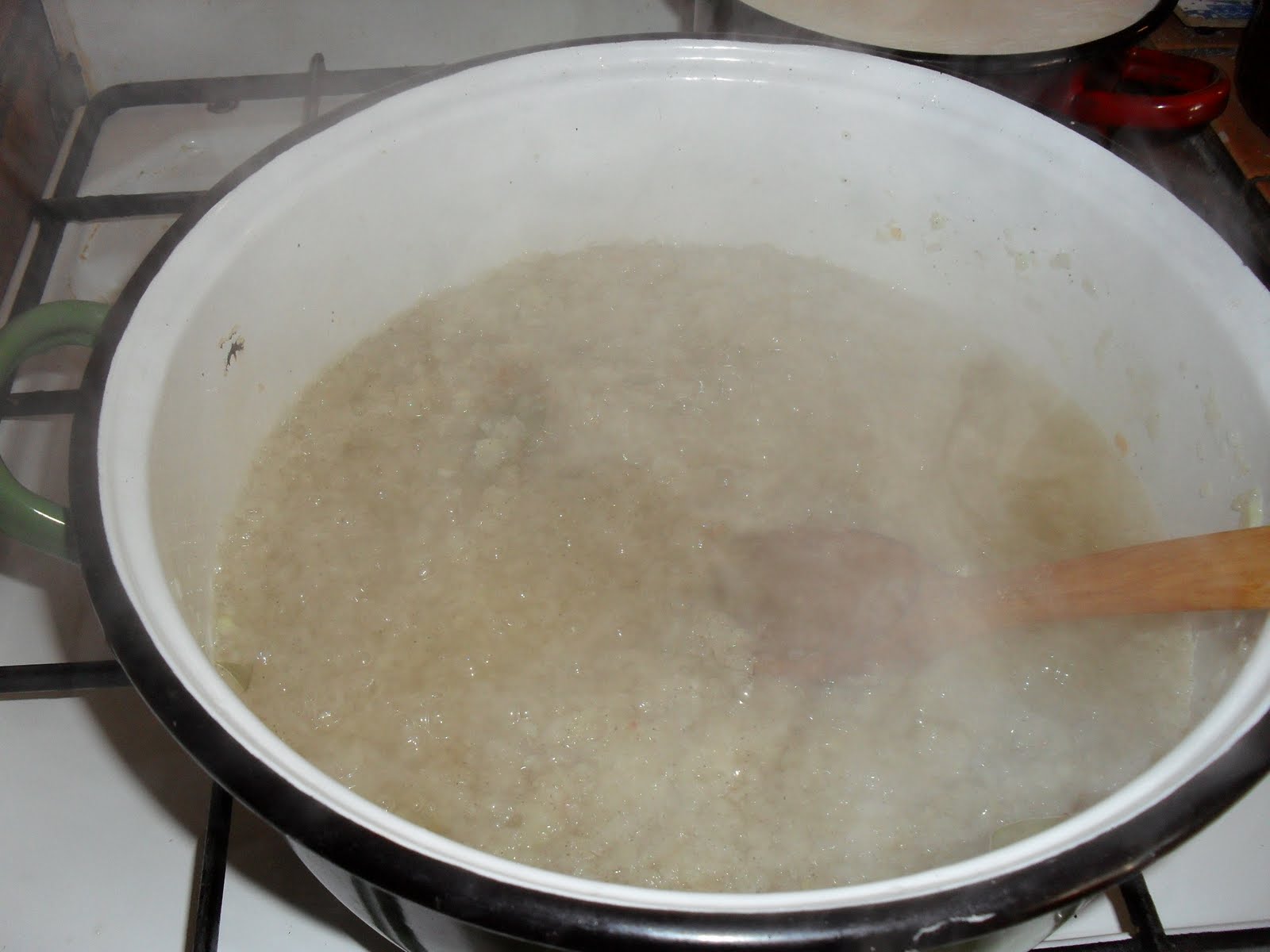 Páfrányok érintése: ZAKUSZKA