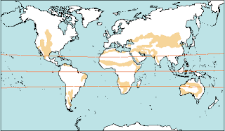 EL PLANETA TIERRA: EL CLIMA