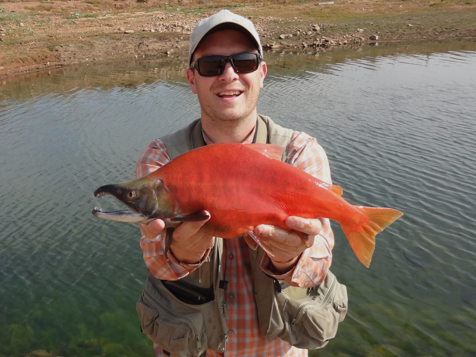 Ricks Reel Adventures: Kokanee Salmon Day at Strawberry Reservoir