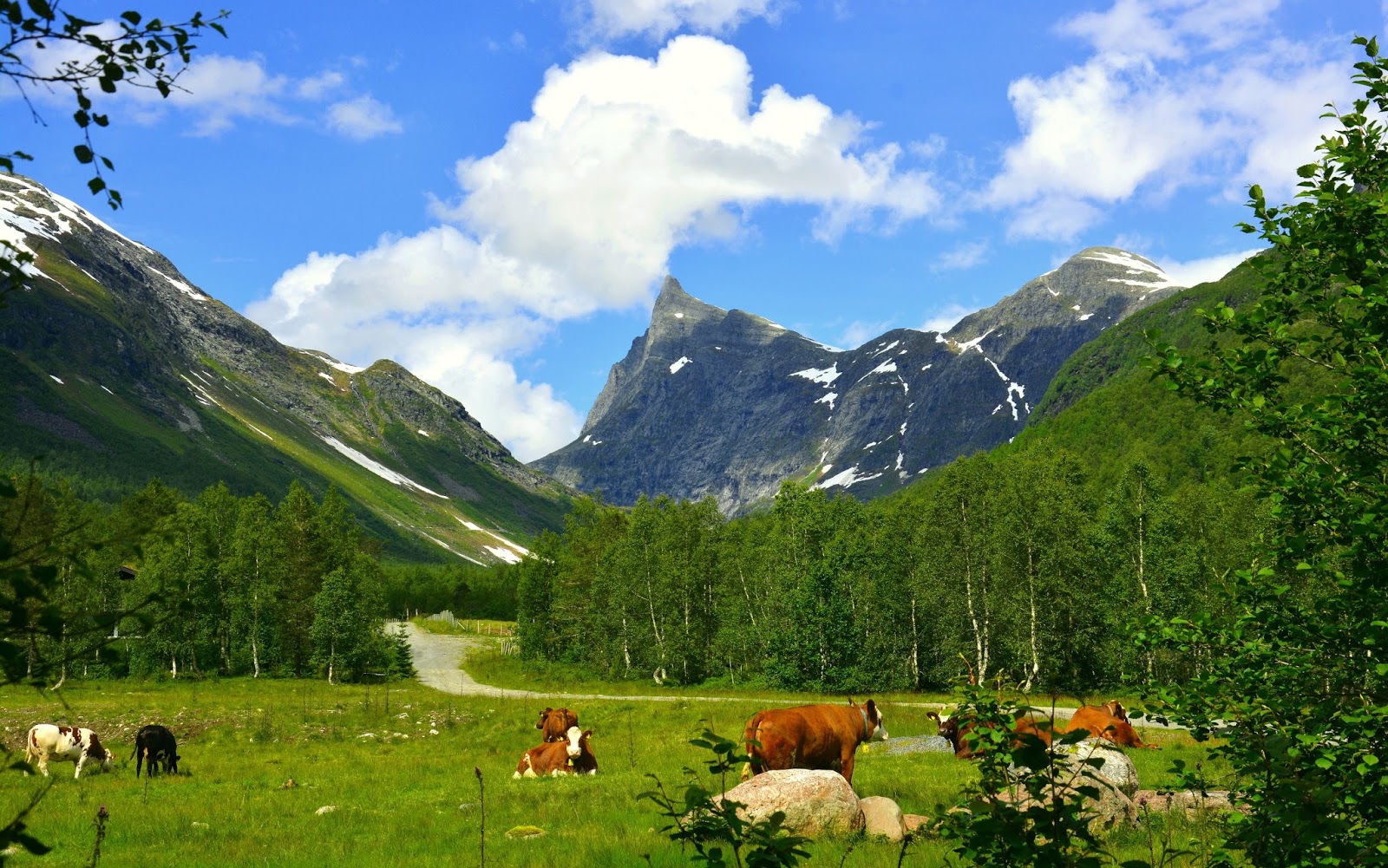 Travel & Adventures: The Kingdom of Norway ( Norge, Noreg ). A voyage ...