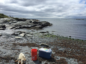 Exhibit Galleries Blog: Baby Fish! Meet the Newest Gulf Stream Orphans