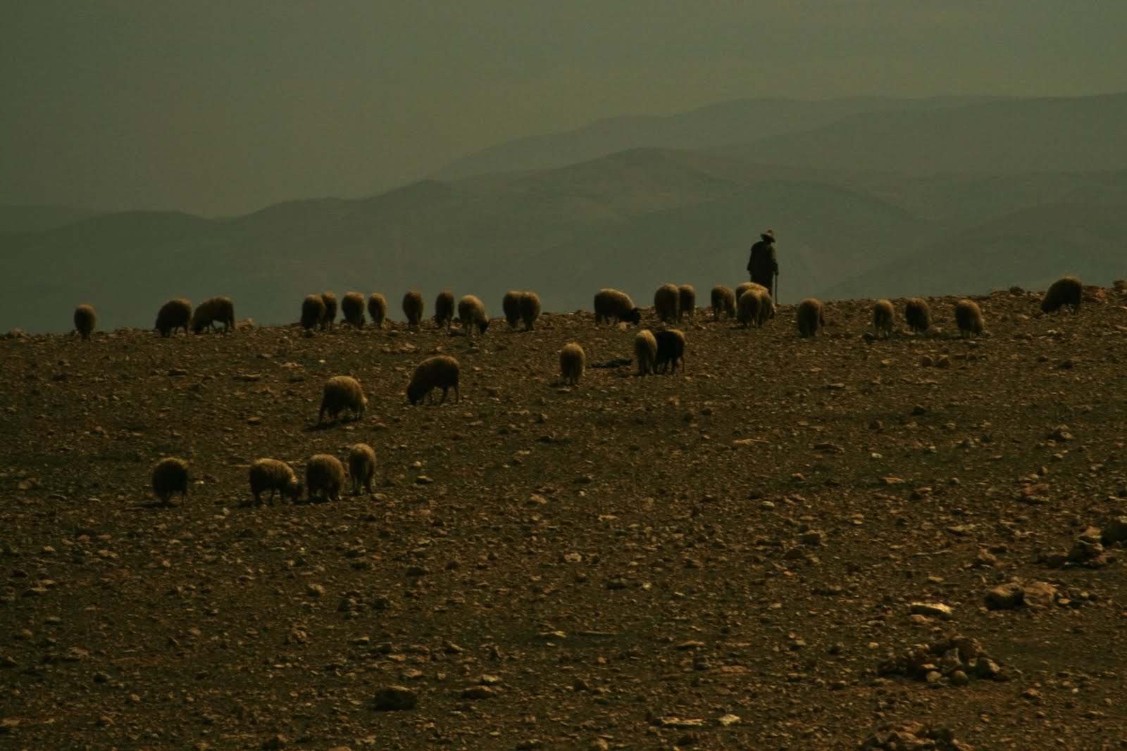 Shaka Shots: Morocco: Landscape