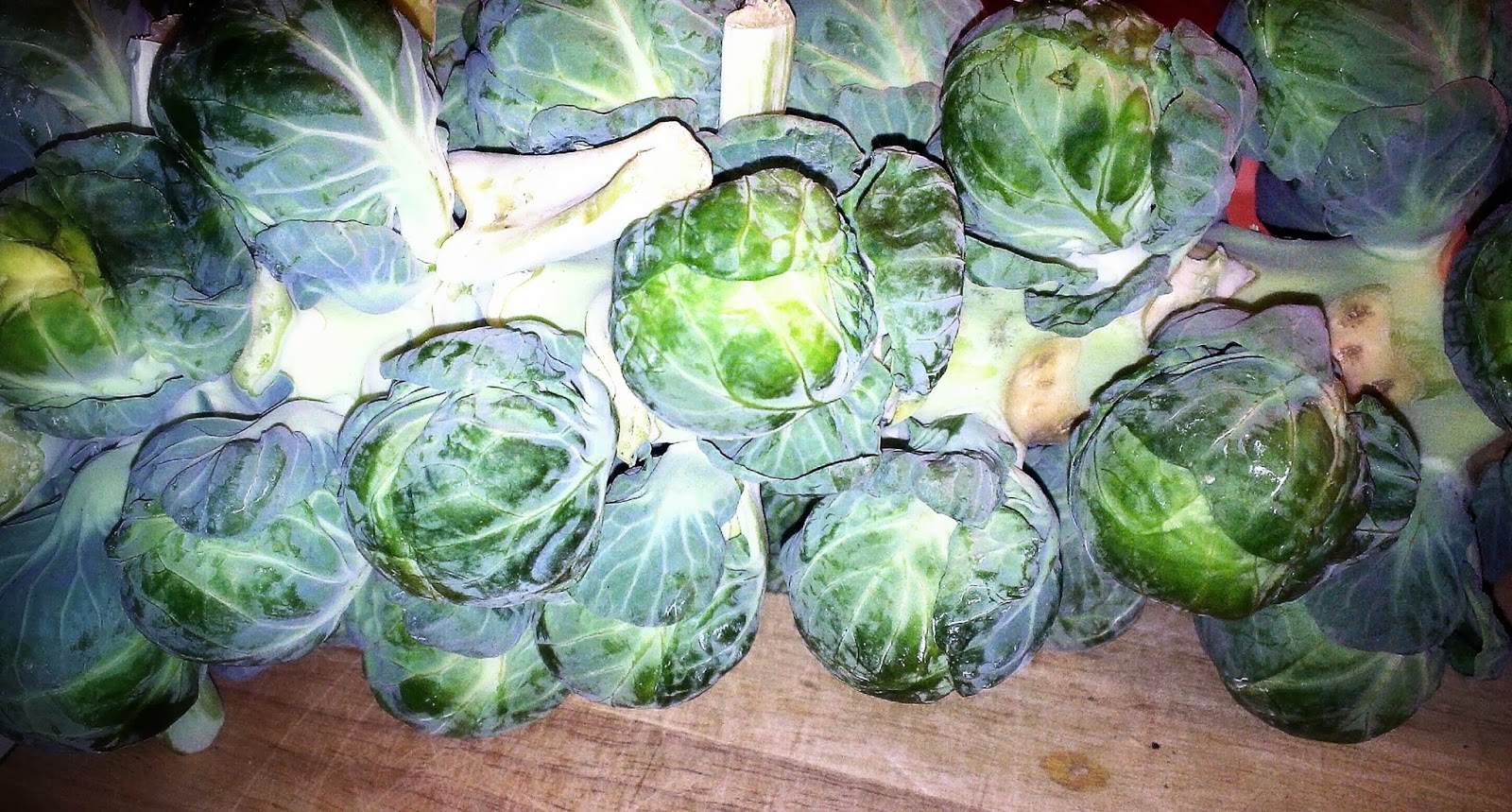 The Foreign Noodle: Every Child's Nightmare - Brussels Sprouts