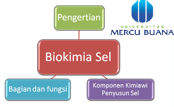 KimintekHijau.com: Biokimia dalam sel
