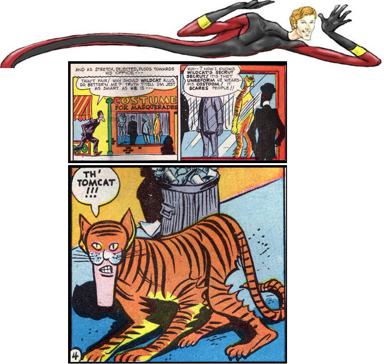 DC Multiverse: Elongated Man and Stretch Skinner