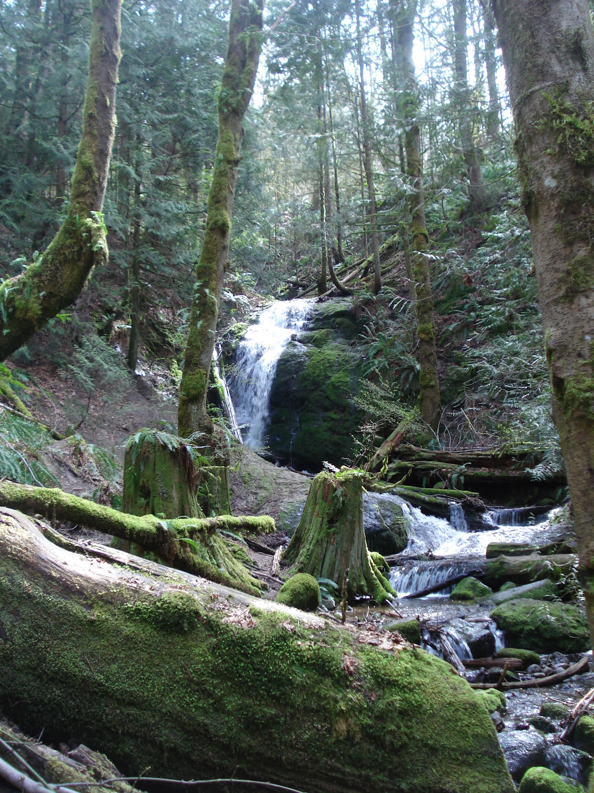Milepost167: Easter Hike 2012-Coal Creek Falls