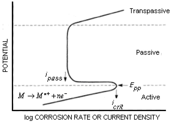 Experimental Procedures: How to Explain Potentiodynamic Polarization ...