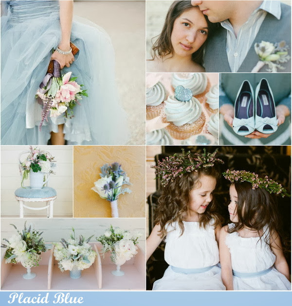 Scaia's MOM and I DO's: COLOR FORECAST FOR 2014