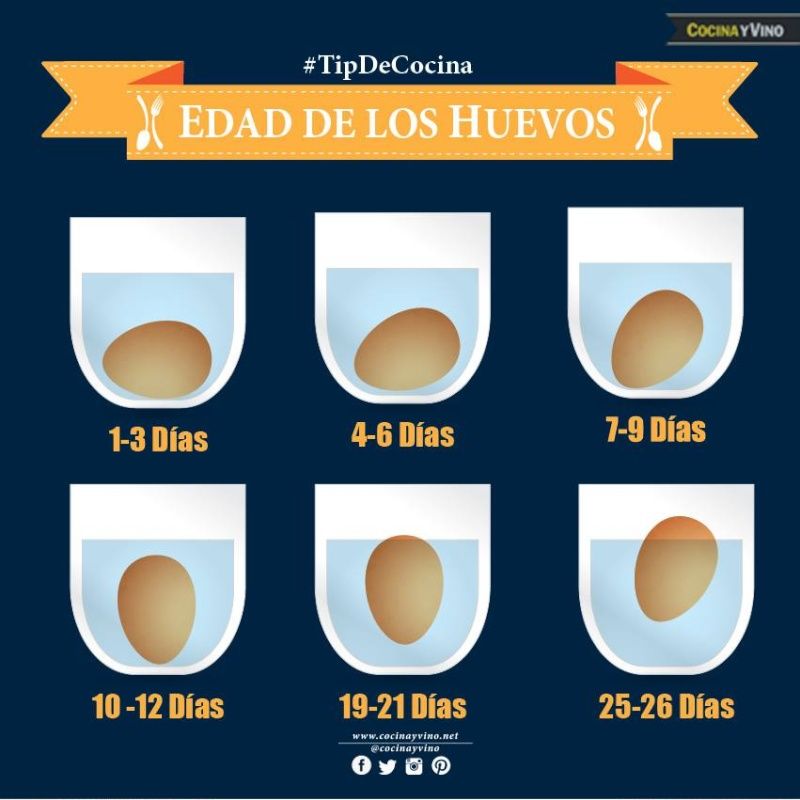 Materiales frikis de Física y de Química : ¡Manda huevos!