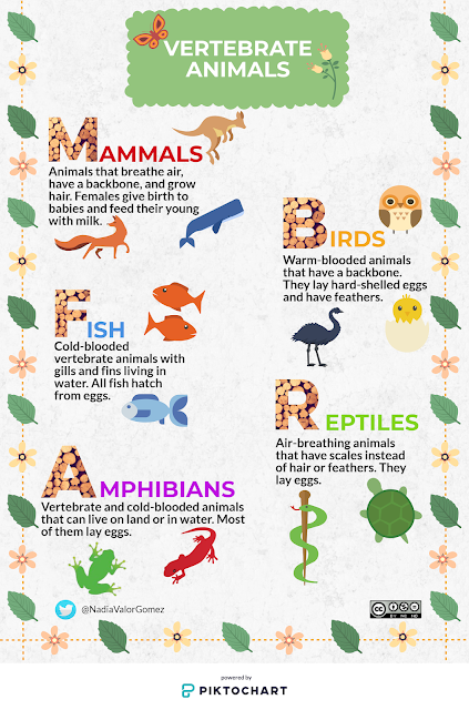 Nadia's learning journal