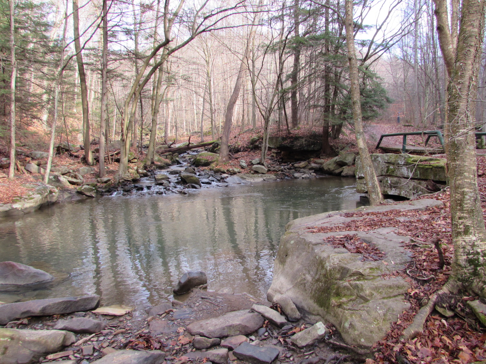 Roaring Run Natural Area, Apollo, PA | Interesting Pennsylvania and Beyond