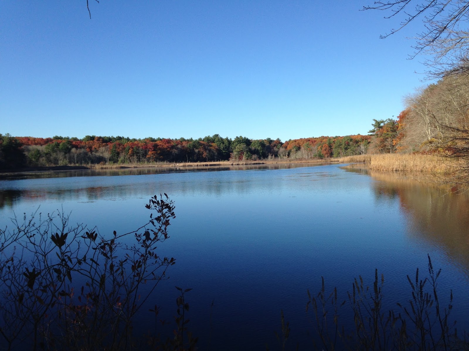 Nature: Introducing the Hoyt-Hall Preserve