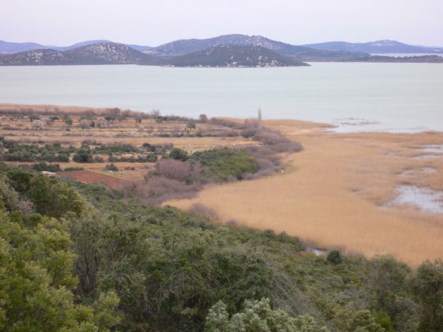 Europa Supera los 1000 Sitios Ramsar ~ Vecinos del Humedal