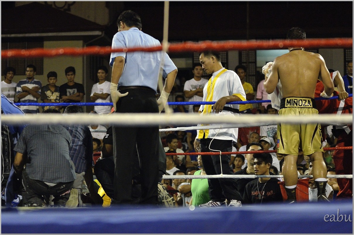 FrEsH aNd GrEeN: One Last Time Before The Bigtime, Aj Banal