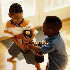 Why do siblings fight?