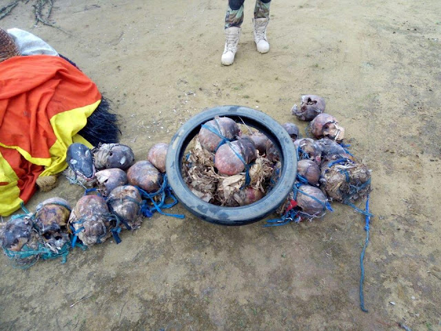 Photos:25 Human Skulls Used For Ritual Found In Bakassi Strike Force ...
