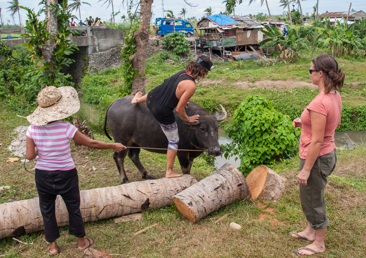 Andrea + All Hands: Responding in the Philippines: Riding Caribou ...