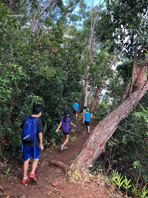Hawaii Mom Blog: Waimano Trails