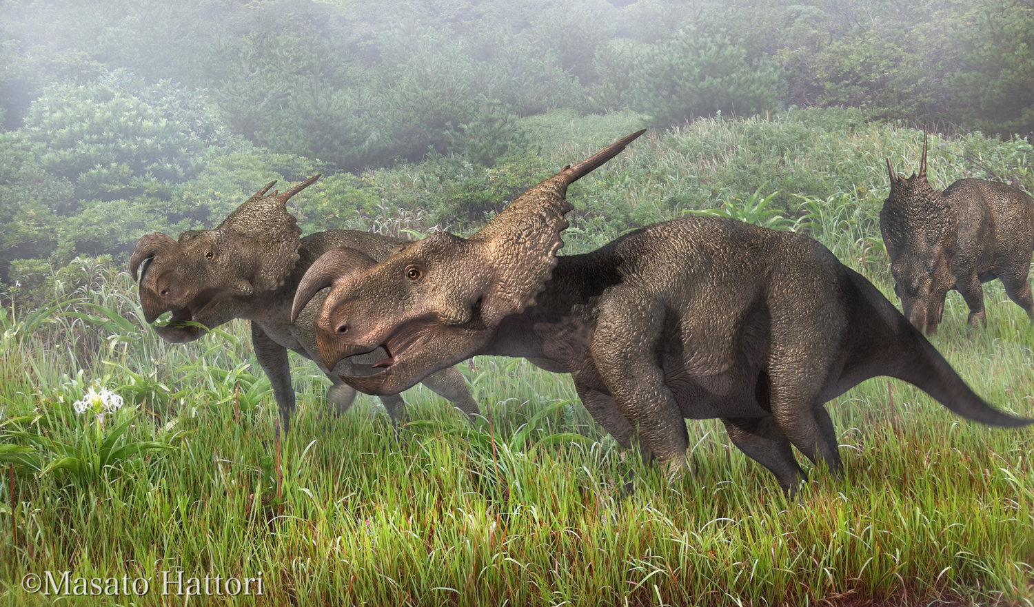 Einiosaurus | Unique animals, Prehistoric creatures, Prehistoric animals