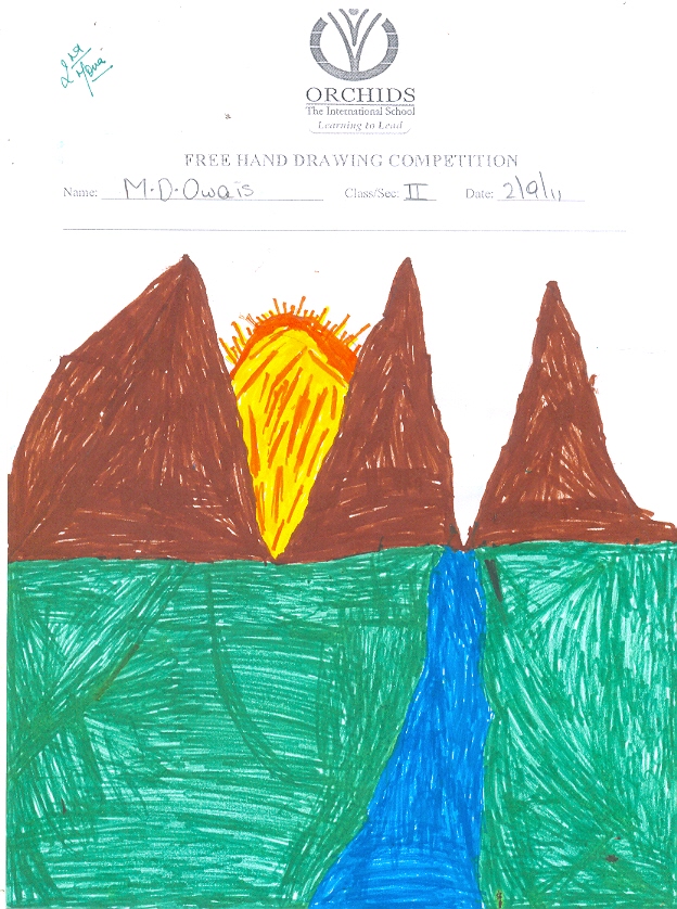 Class II Orchids: Free Hand Drawing Competition