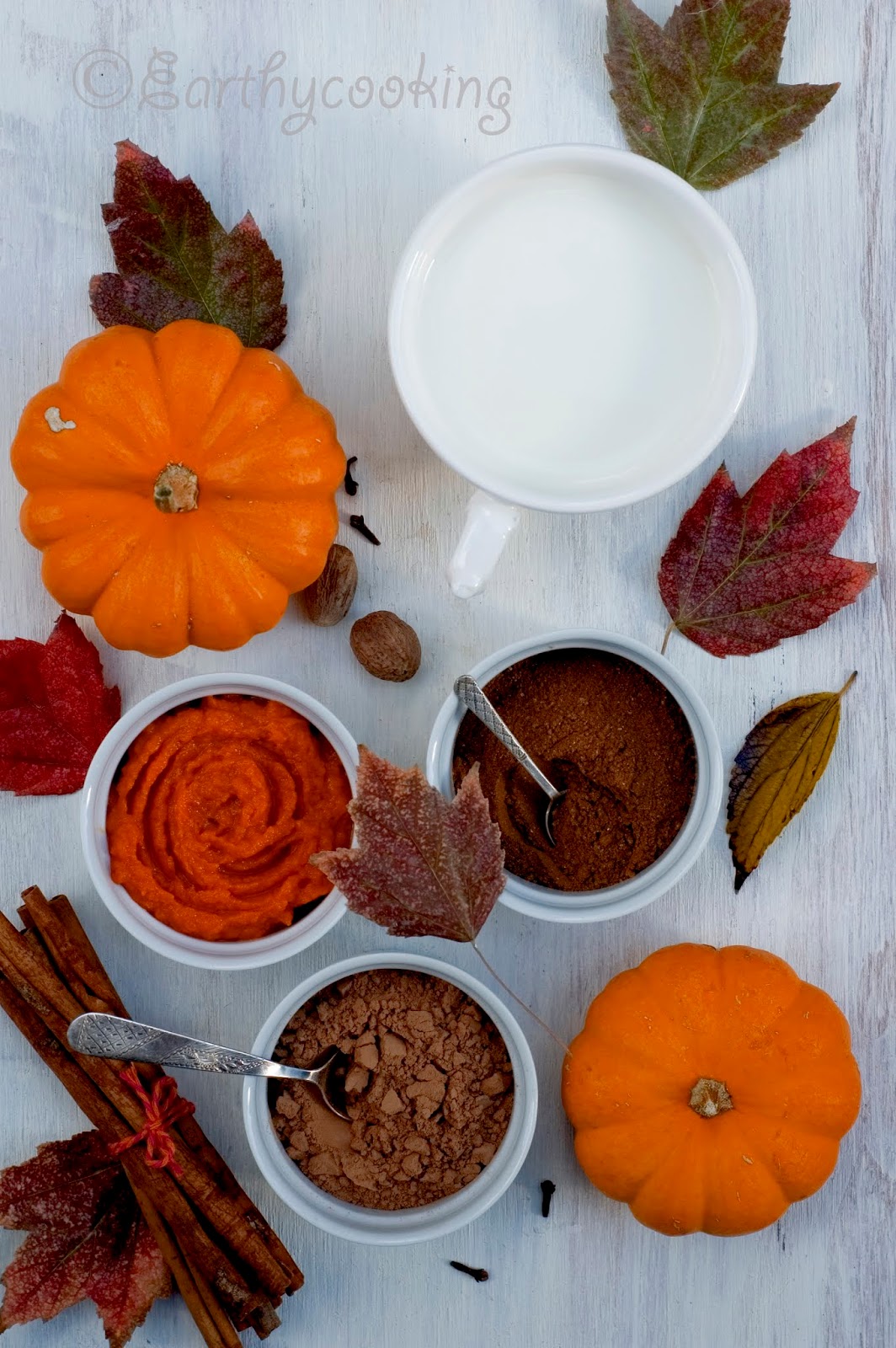 Earthycooking : Pumpkin Spice Hot Chocolate
