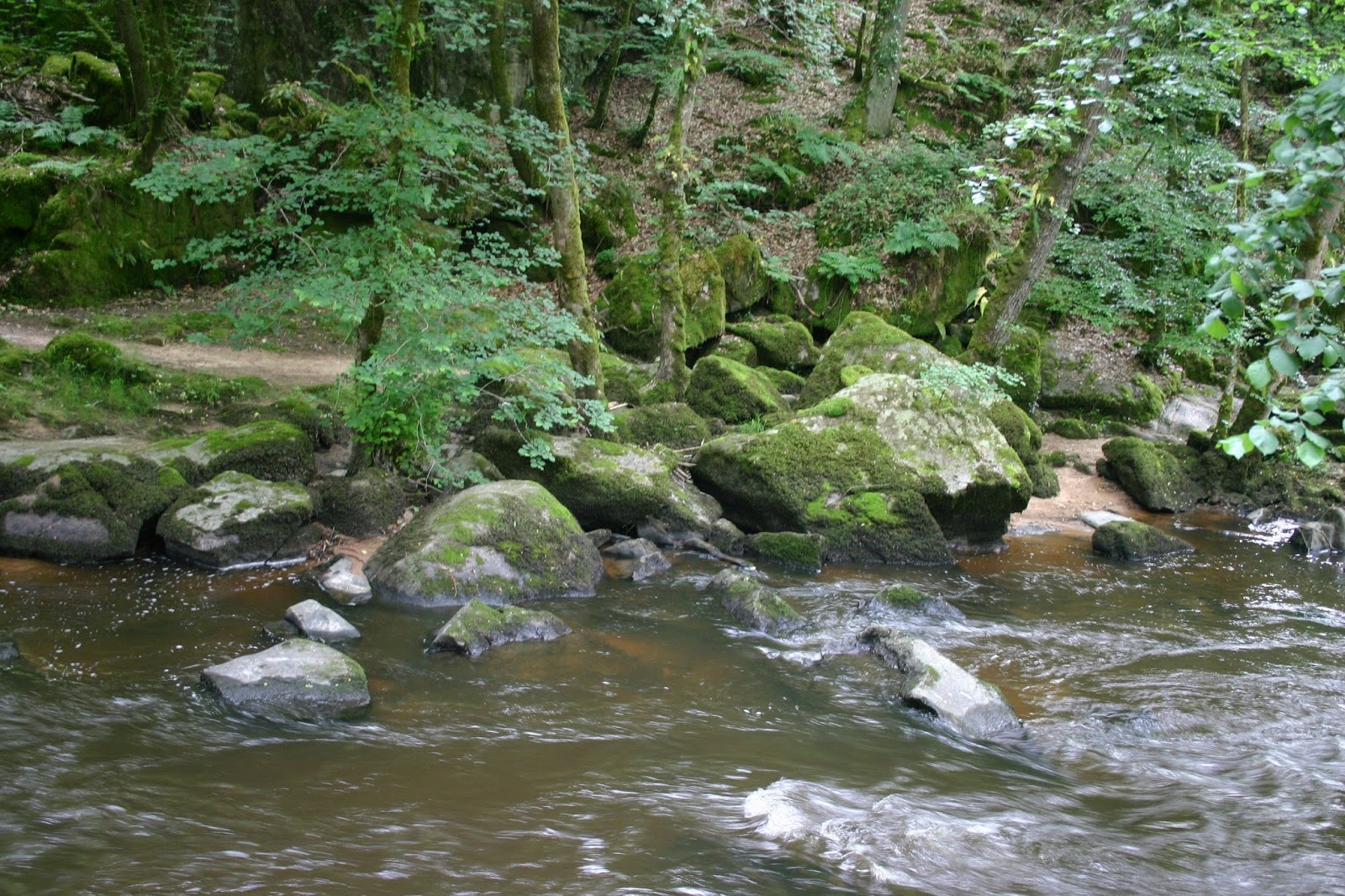 Life in the Middle Ages: Water in the Middle Ages