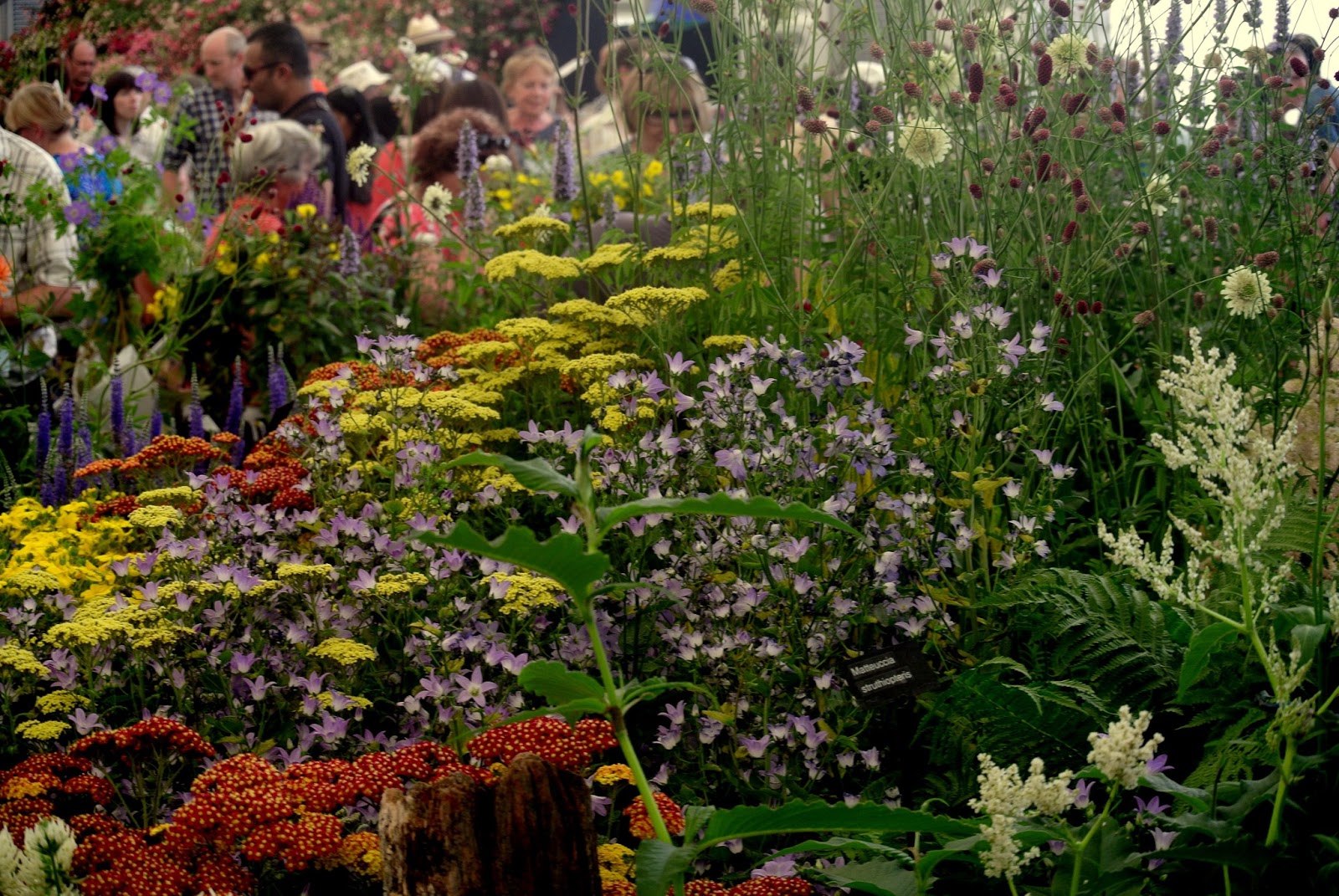 HAVETID: Engelske haver 4. del.