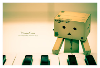 Remembering ..: My Danbo .. The Spirited Doll