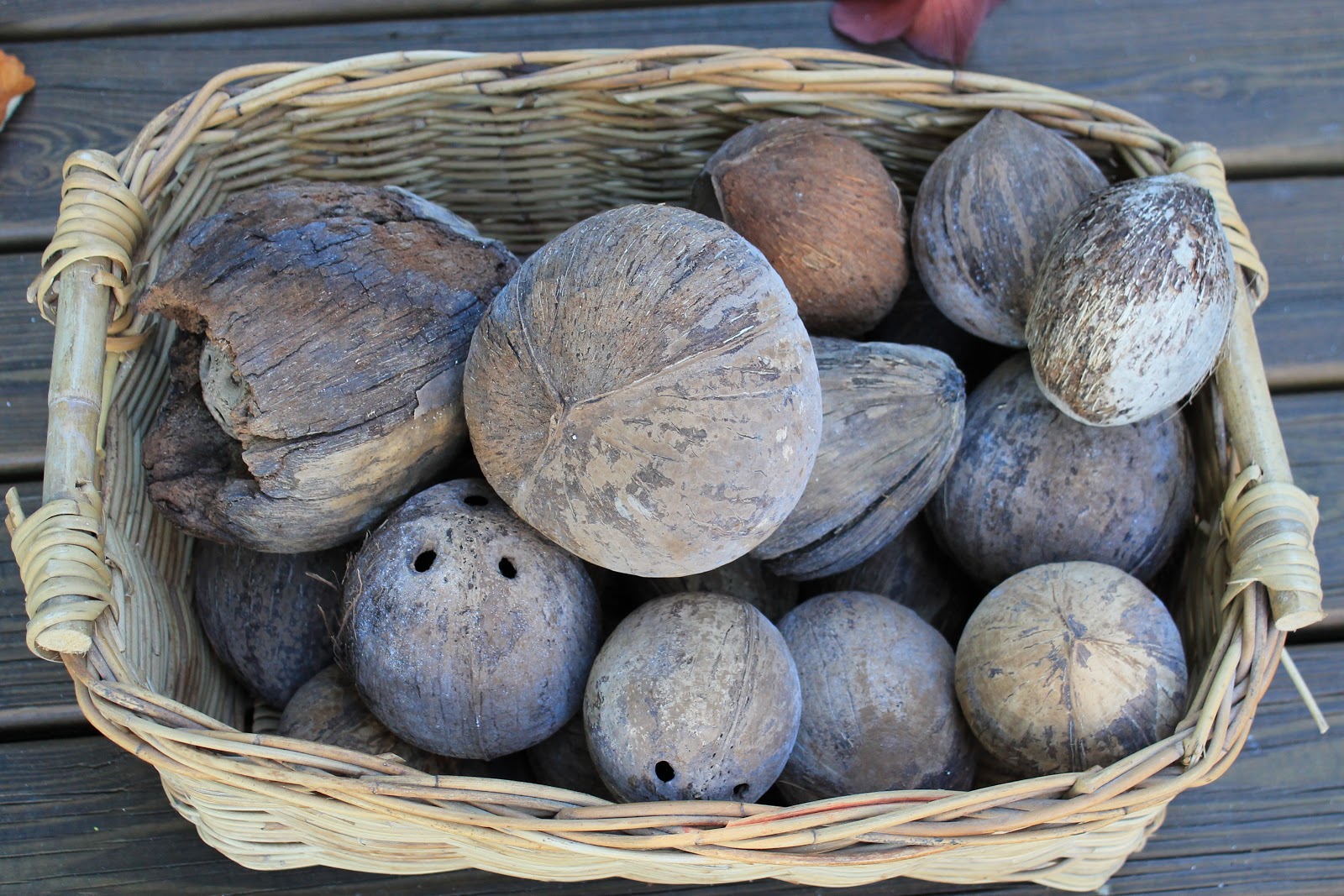 Connecting Pieces: Craft Day - Halloween Coconut Pumpkins