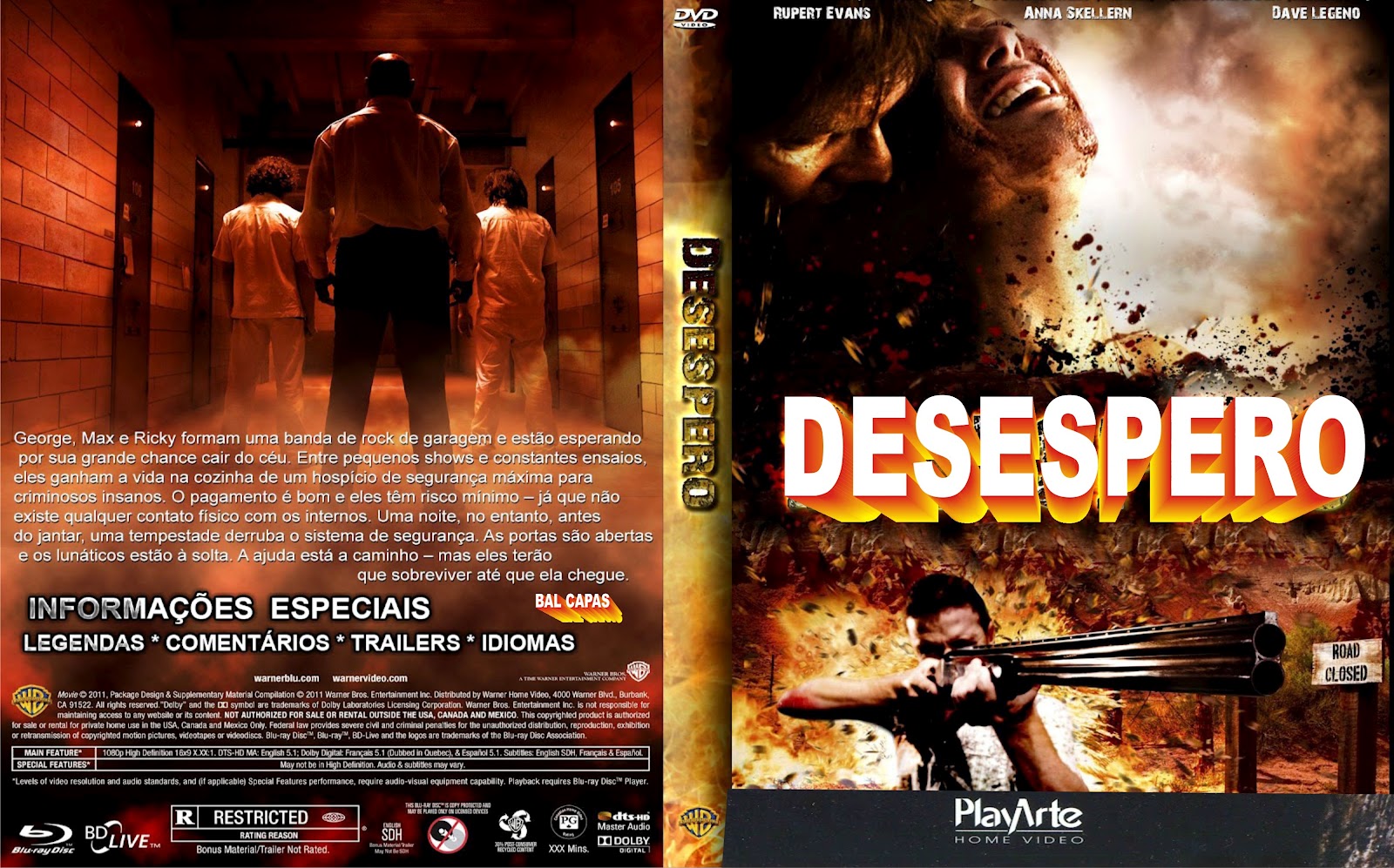 Só CAPAS: CAPAs DE FILMEs 2012 e 2013