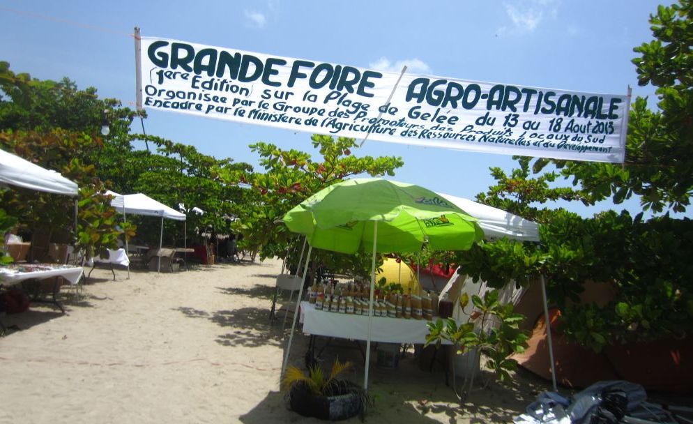 Audubon Center of Haiti: Audubon at Gelee Beach Festival