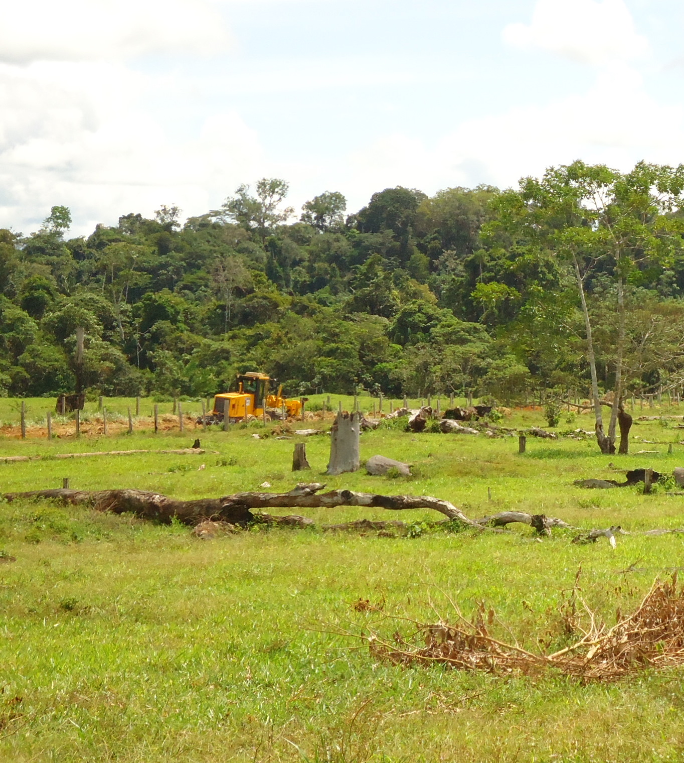 Bem Vindo!!! Prefeitura de Apuí
