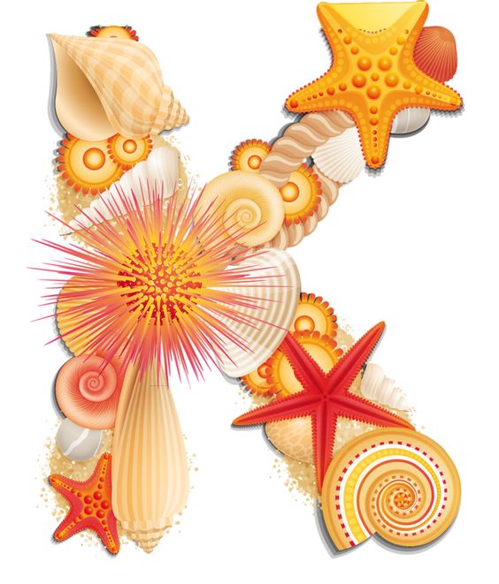 Escuela infantil castillo de Blanca: ALFABETO CON CONCHAS