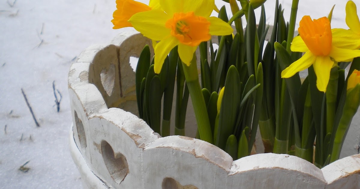 kuunkierto: Reflektio