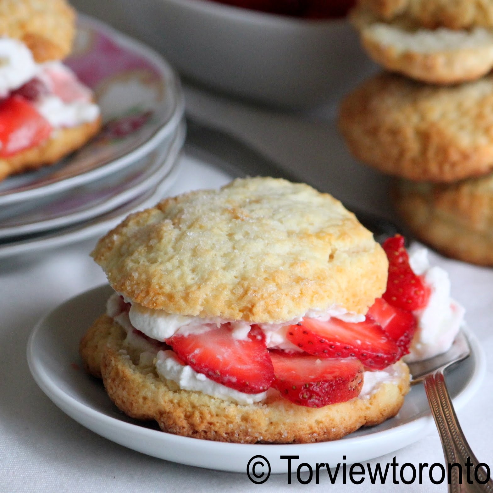 Torviewtoronto: Strawberry shortcake