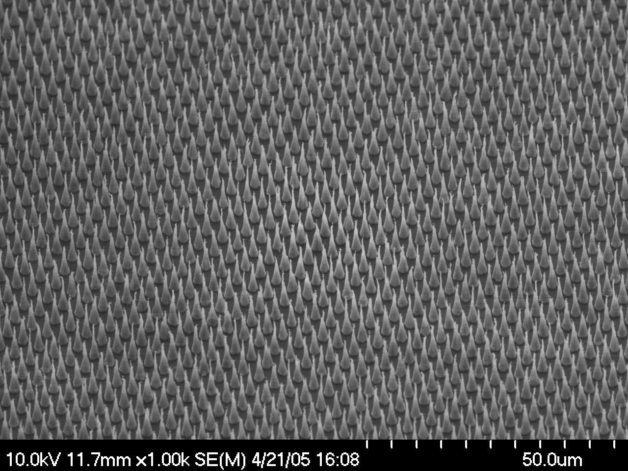 Random data: Vertically aligned carbon nanofibers